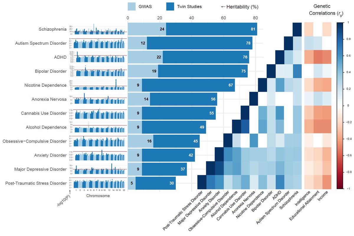 Abdel Abdellaoui on Twitter: "My 2022 first/last author papers 🧬🎆 https://nature.com/articles ...