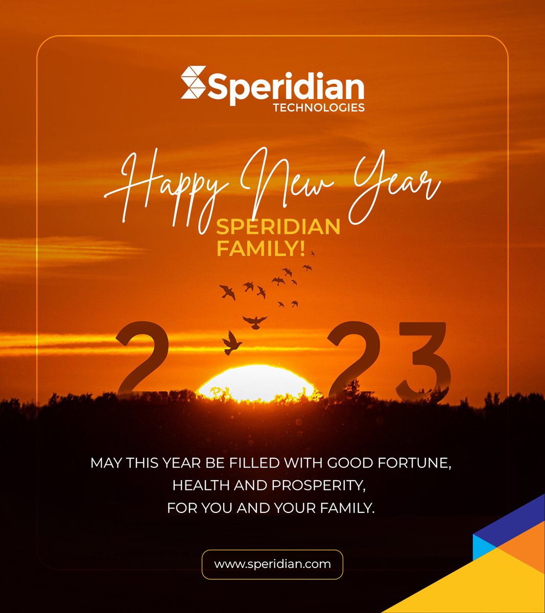 Speridian Technologies | A global IT solutions and consulting company.