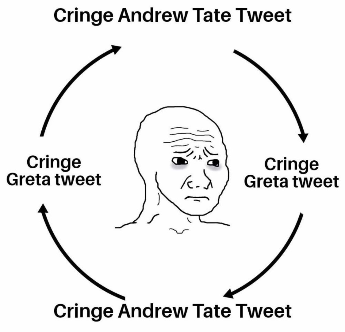 The Andrew Tate fanboys are equally as cringe as the team Greta NPCs ...