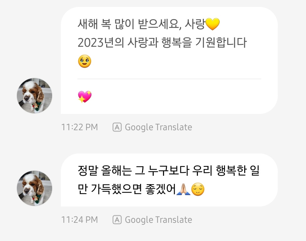 🐈🫂 on Twitter: "[🐱💬] 👤: Happy New Year, love 💛 Wishing you love and ...