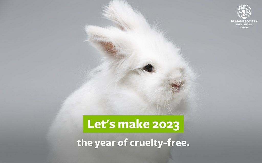 Animal Testing Cosmetics Facts