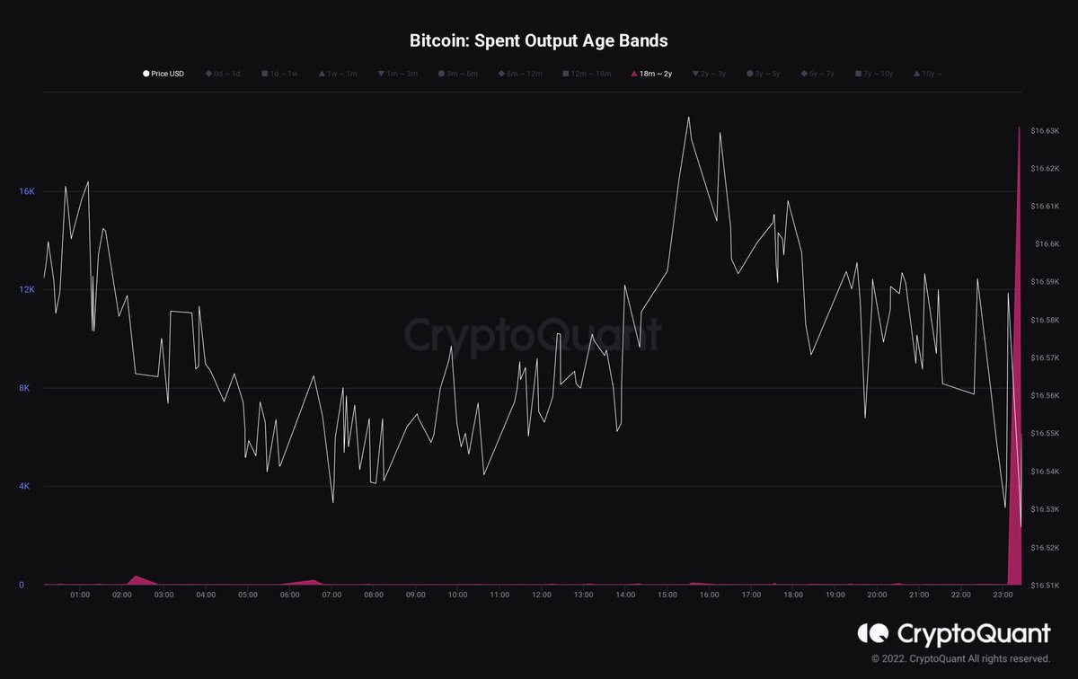 Maartunn on Twitter: "18,587 #BTC with the age 18m ~ 2y has moved on-chain https://cryptoquant ...