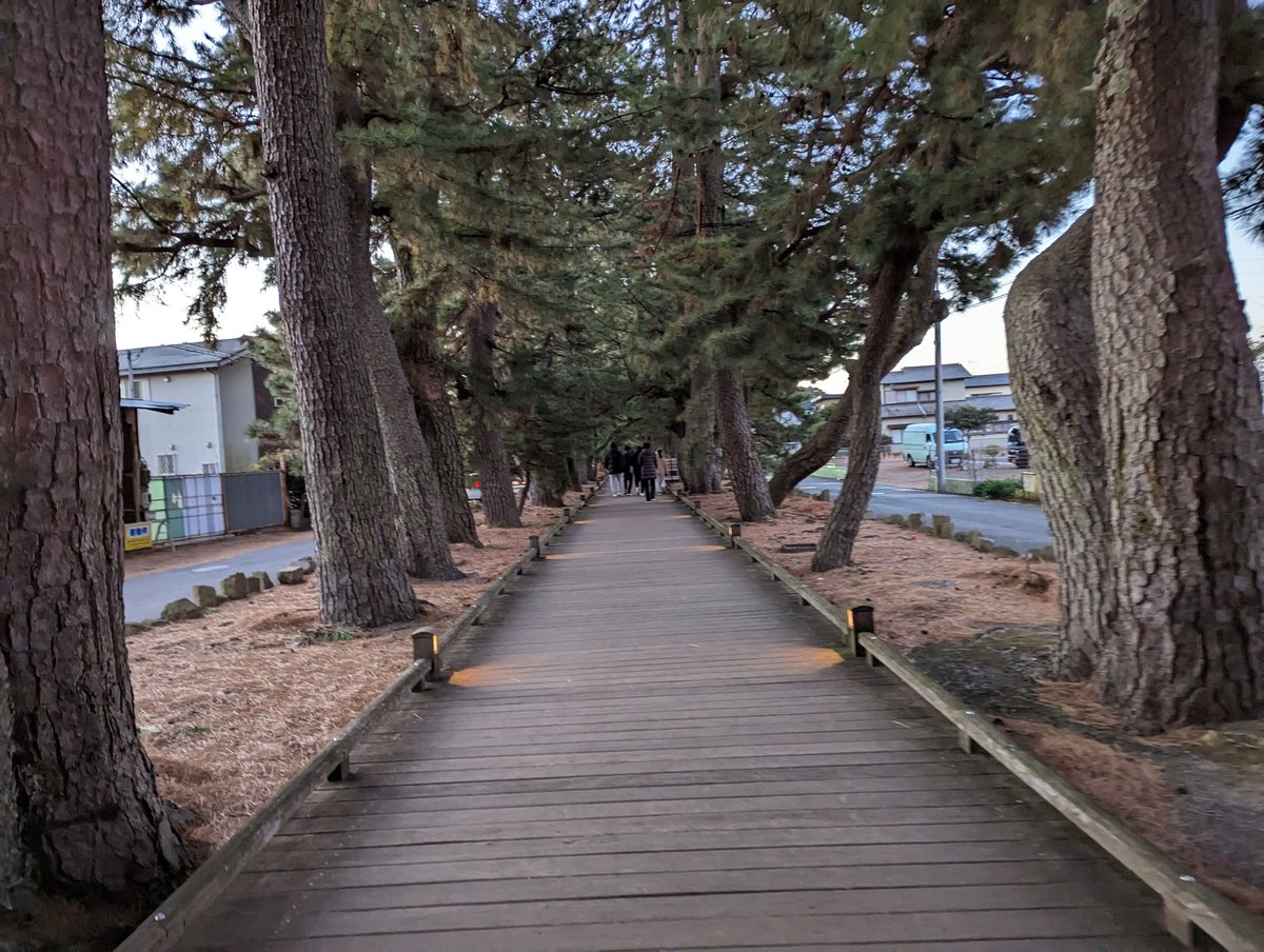 orefolder on Twitter: "初日の出を見に、海岸へ向かう。"