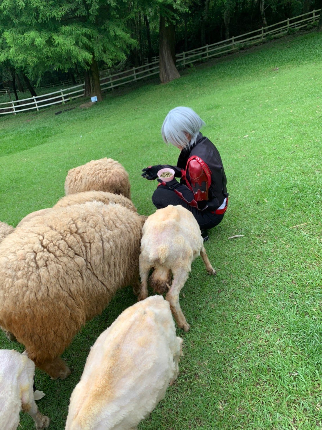 Sheep Shagger Costume