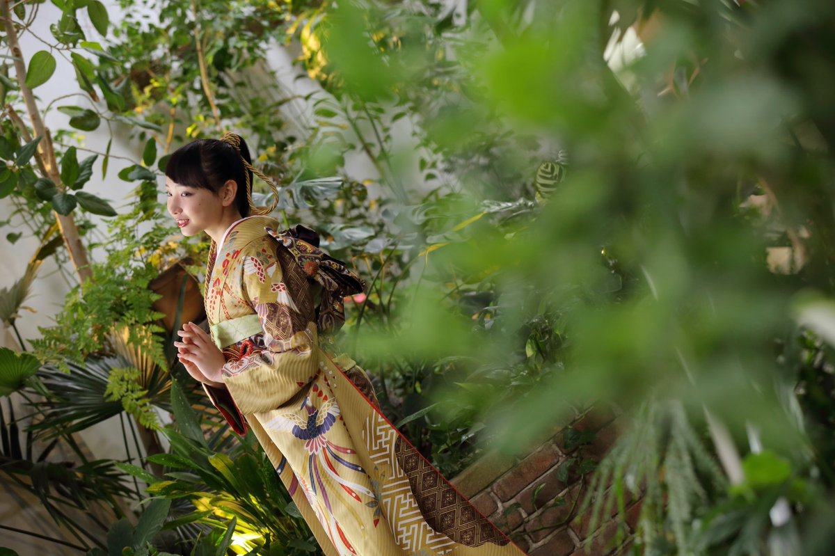 Fumika Seki on Twitter: "あけましておめでとうございます ベタですが昨年撮影していただいた前撮りのお写真を…🥰 このながーい髪の毛はもうありませんが、細く長く頑張りたい ...