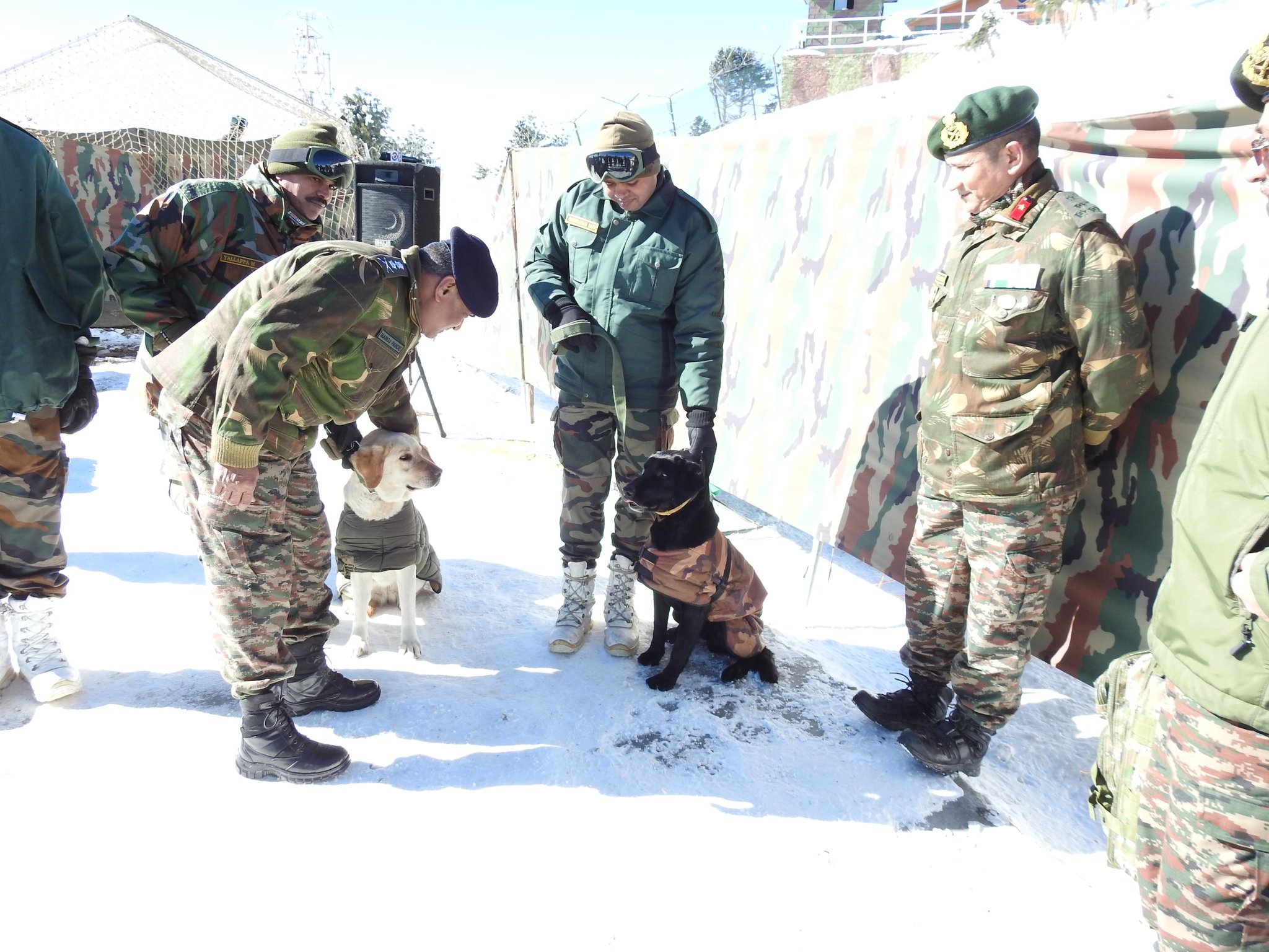 ADG PI - INDIAN ARMY on Twitter: "On the occasion of #NewYear2023, General Manoj Pande #COAS ...