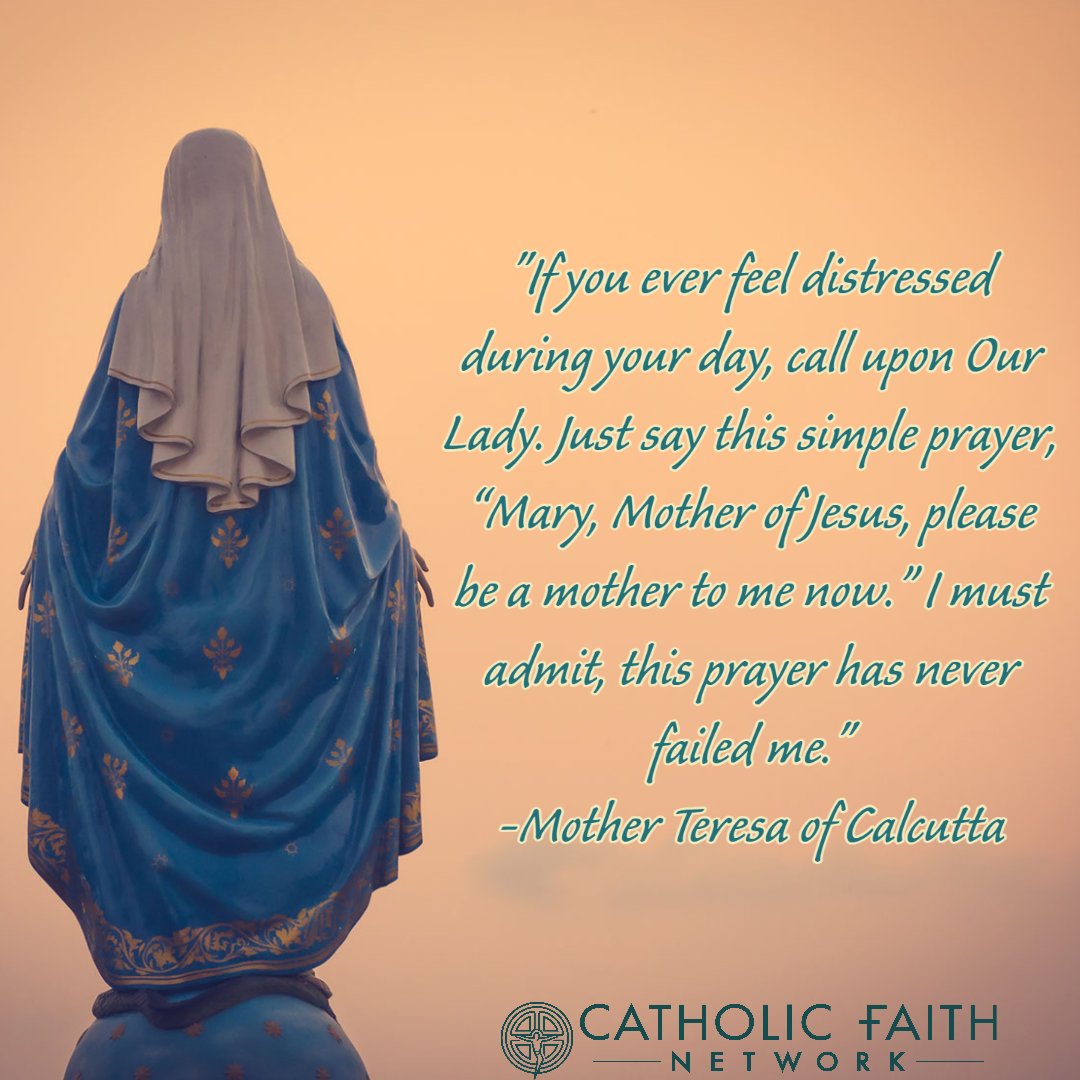 Catholic Faith Network on Twitter: "Today, we celebrate the Solemnity ...