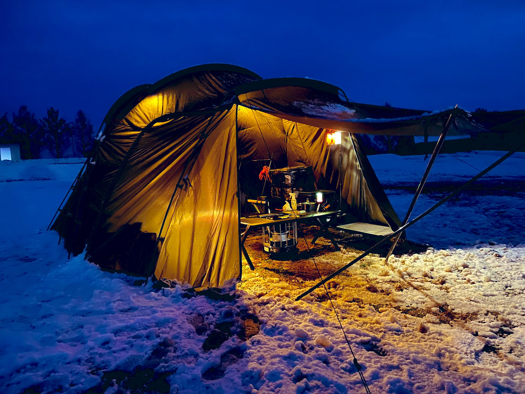 TGSD_CAMP (@tgsd_camp) / Twitter