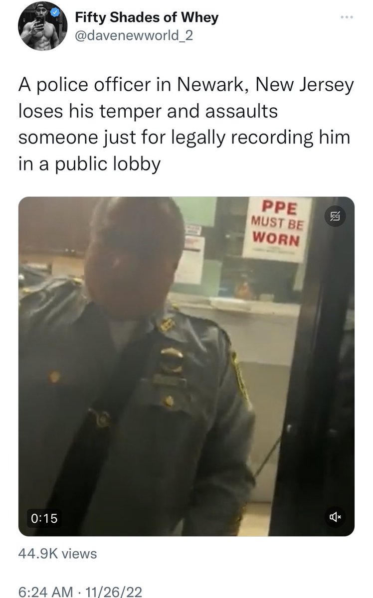 BlackWomanVibes on Twitter: "RT @davenewworld_2: Incidents that cops ...