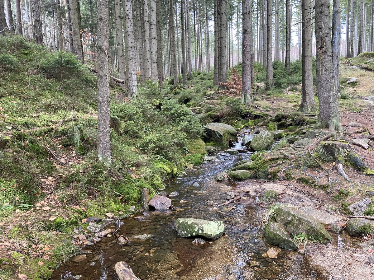 Gdzie jestem? - Thread from Daniel Foubert @d_foubert - Rattibha