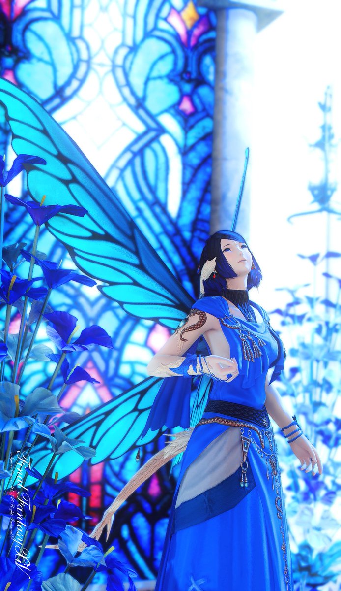 Astyna@FF14 Fenrir 水族館館長 ( Gaia DC) on Twitter: "#FF14 #GPOSERS #本日のアウラ #アウラ #後角愛好会"