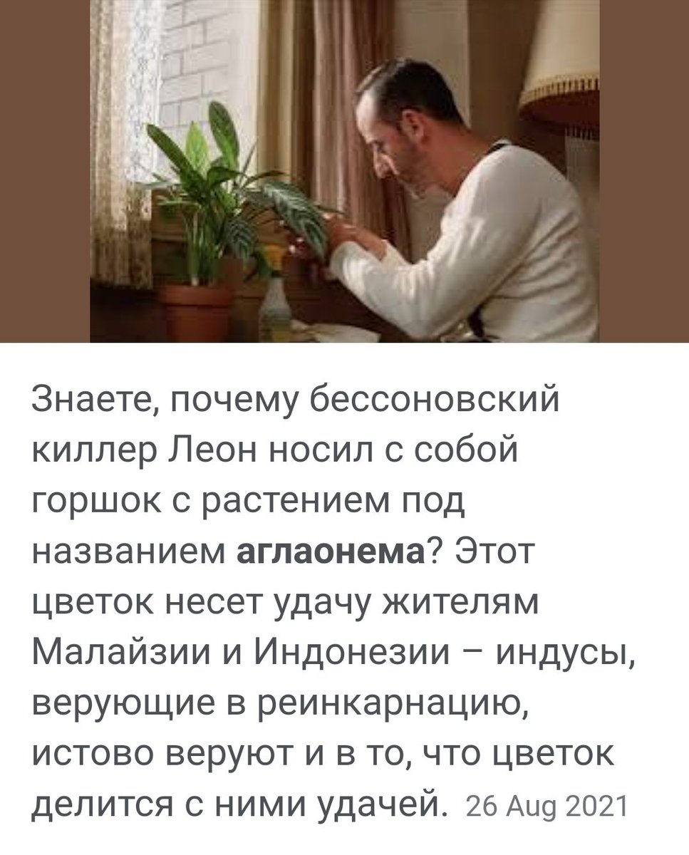 Igor Вице блогер On Twitter Не думаю что Бессон глубоко размышлял о