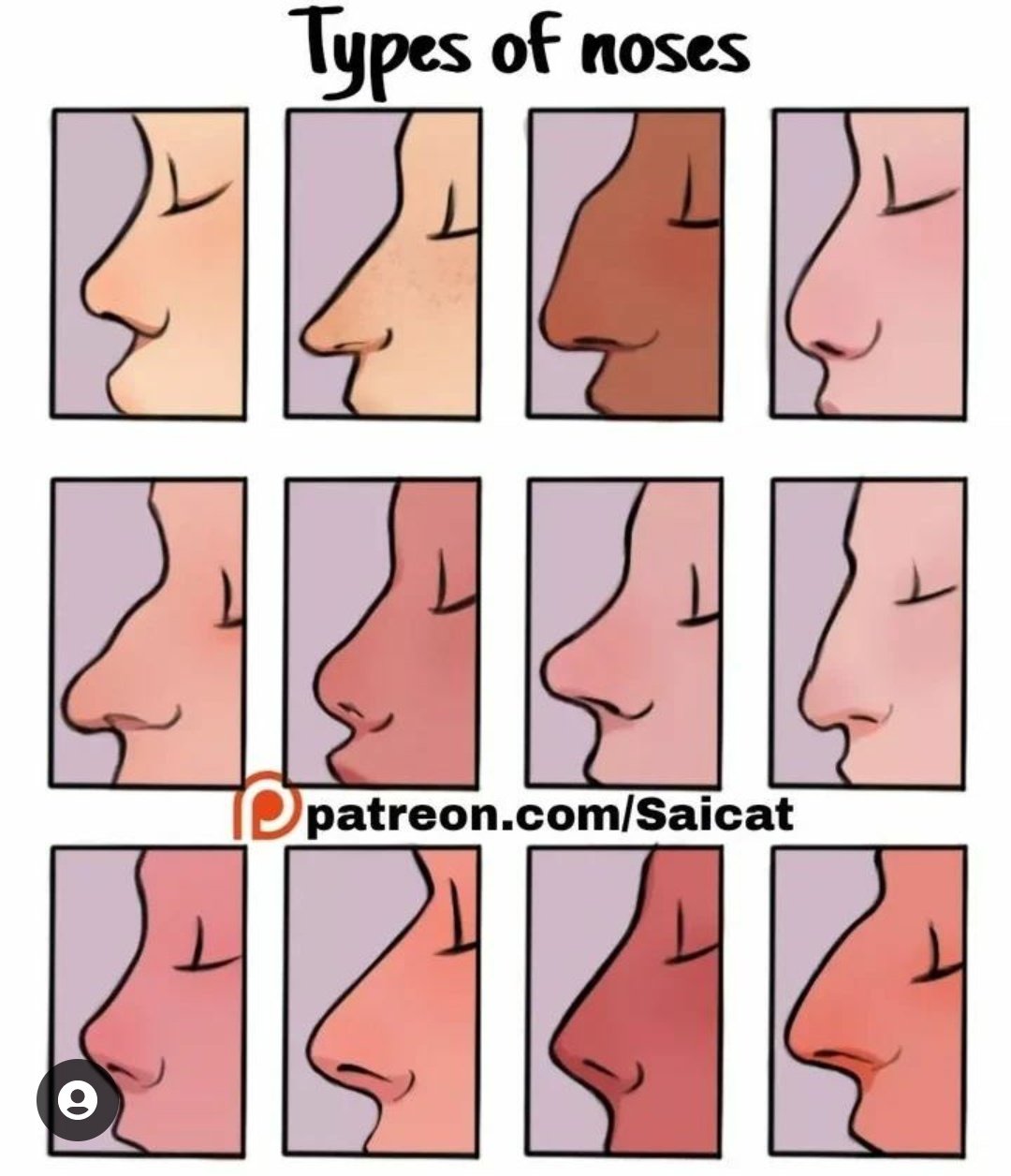 Different Types Of Nose Shapes