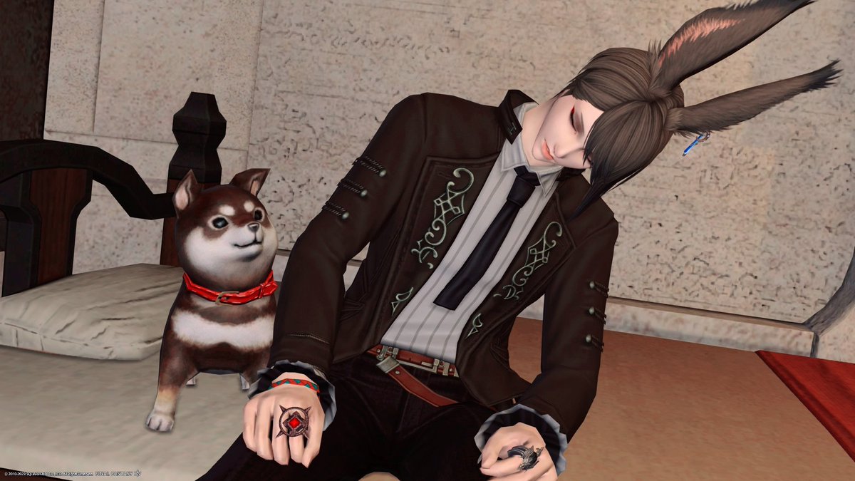 チロ FF14*𝕆𝕣𝕚𝕠𝕟 on Twitter: "おはようございます☀️ うさお居眠り4種🐰💤 うー久々に筋肉痛_( :⁍ 」 )_今日がお休みで良かった… いよいよ明日は新パッチ 色々 ...