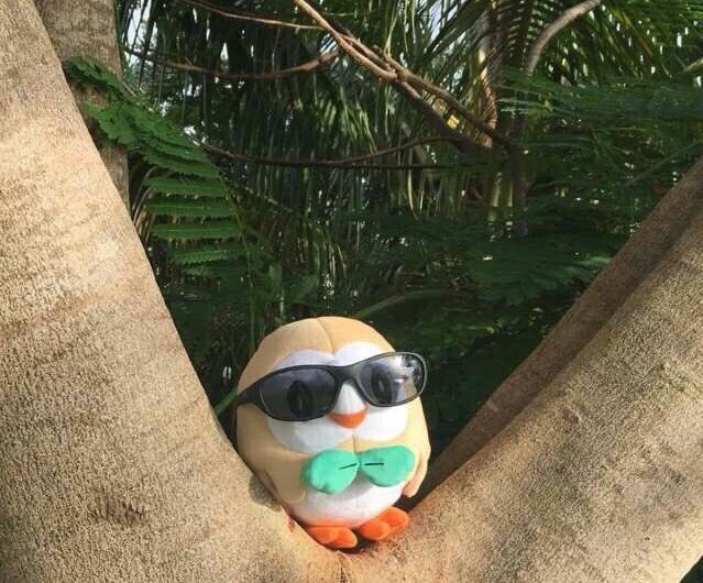 💫 KirbyC00kie 💫 | COMMS CLOSE on Twitter: "@Emy_Mania https://t.co/8fVGY79Ieg" / Twitter