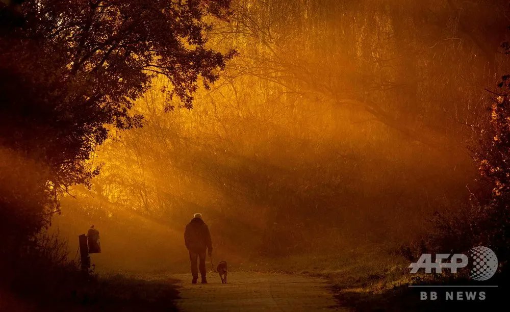 AFPBB News on Twitter: "【写真特集】AFPのカメラマンが世界中で撮影した朝日 https://t.co/Ai50gbqmBG https://t.co ...