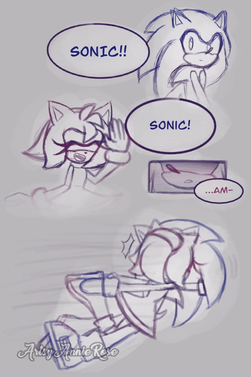 Sonic And Amy Hugging Sonic X