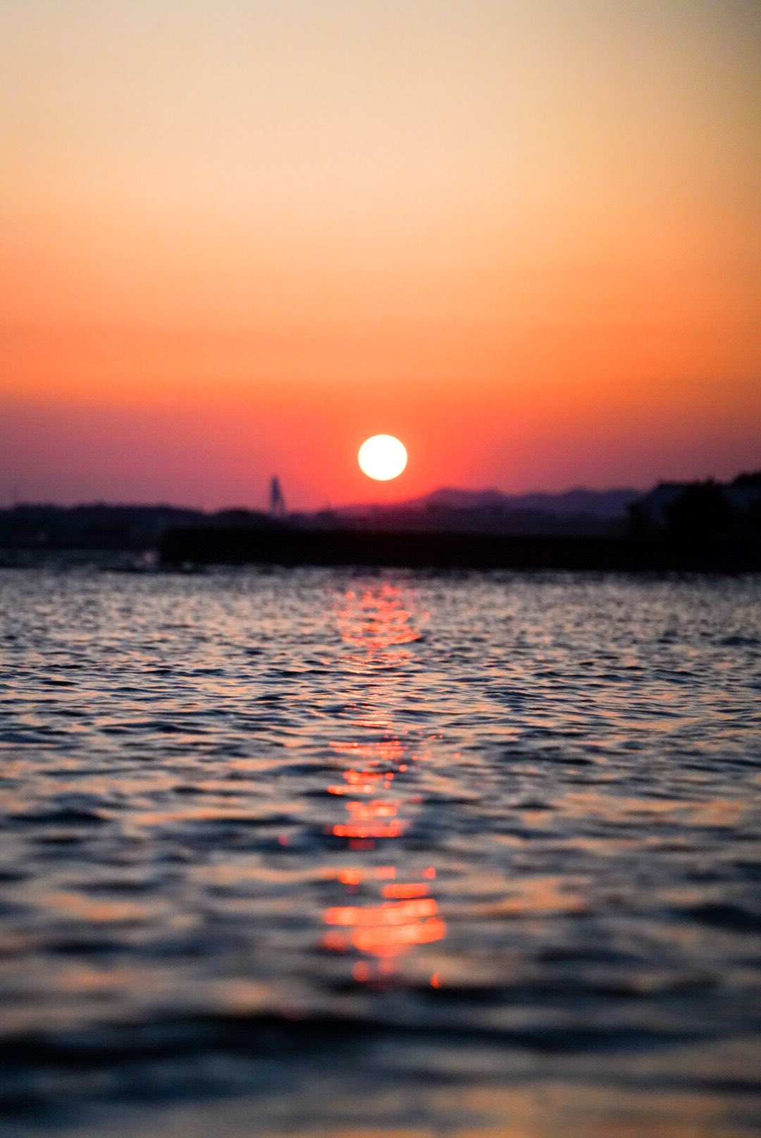 もっちゃん (@camera_mochan) / Twitter