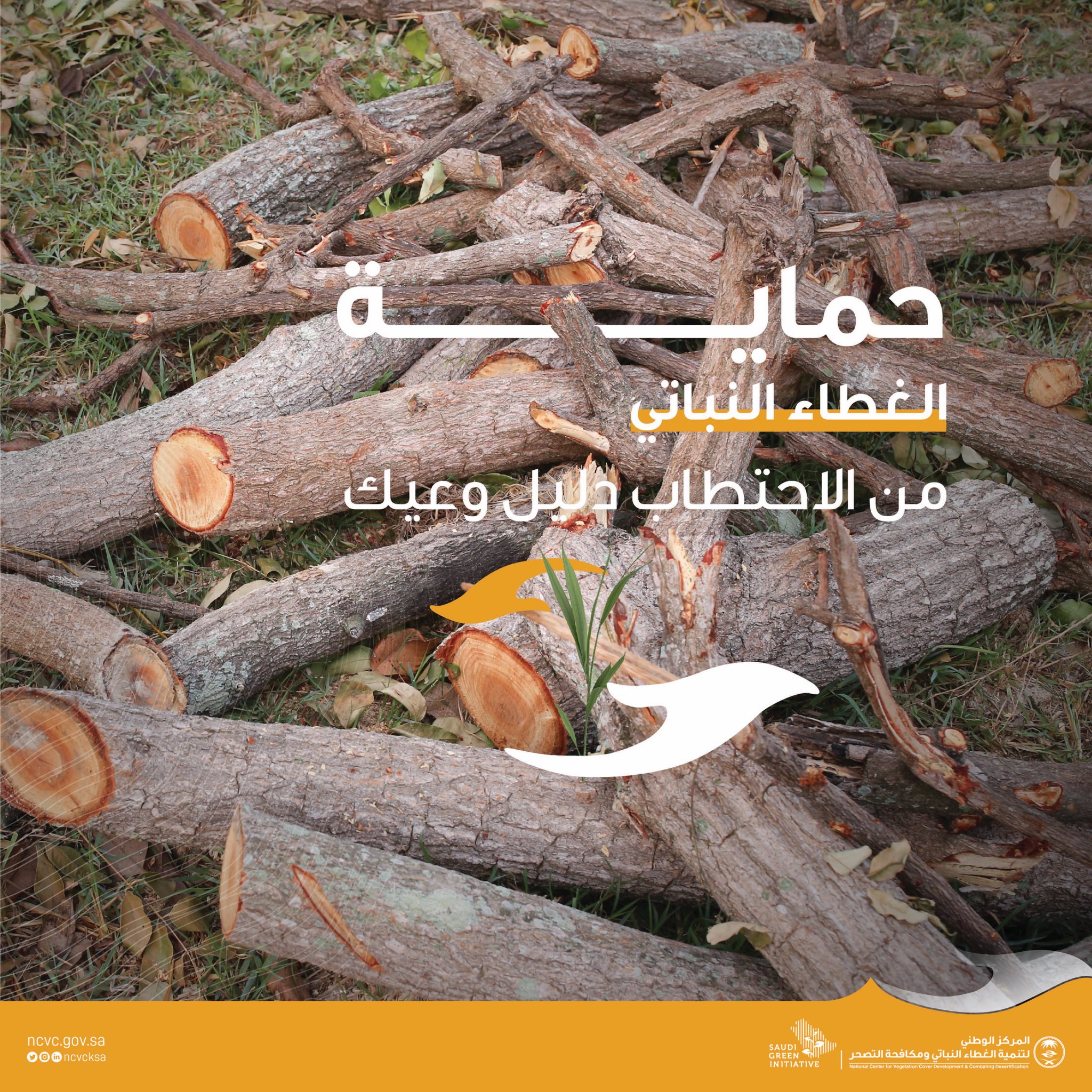 BOKEP INDO TERBARU 2022 HD (11.2k) (@PauletteMrsgra1) / Twitter