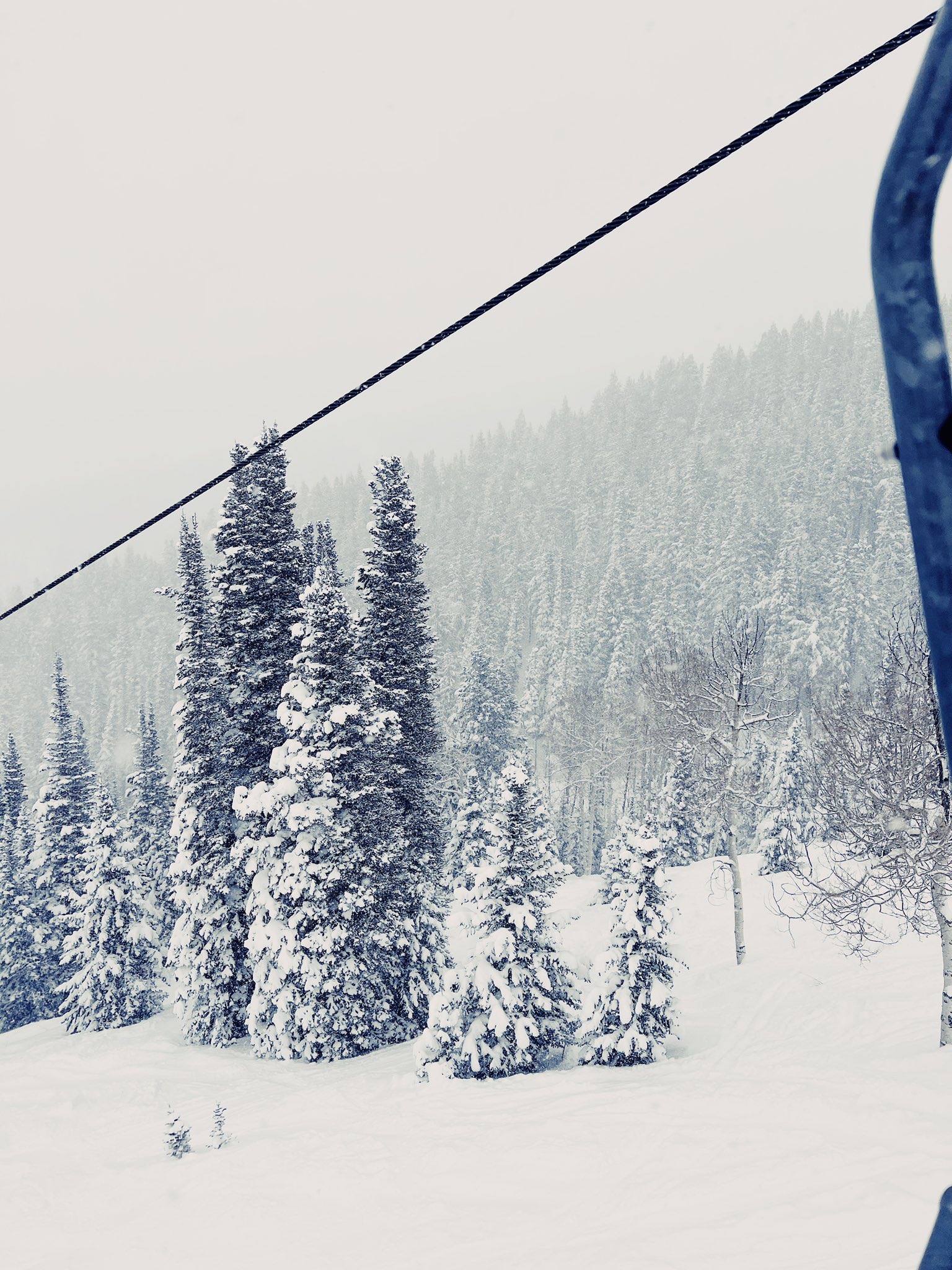 TW Pornstars - 2 pic. Vivienne Cole. Twitter. Easy mornings courtesy of ...