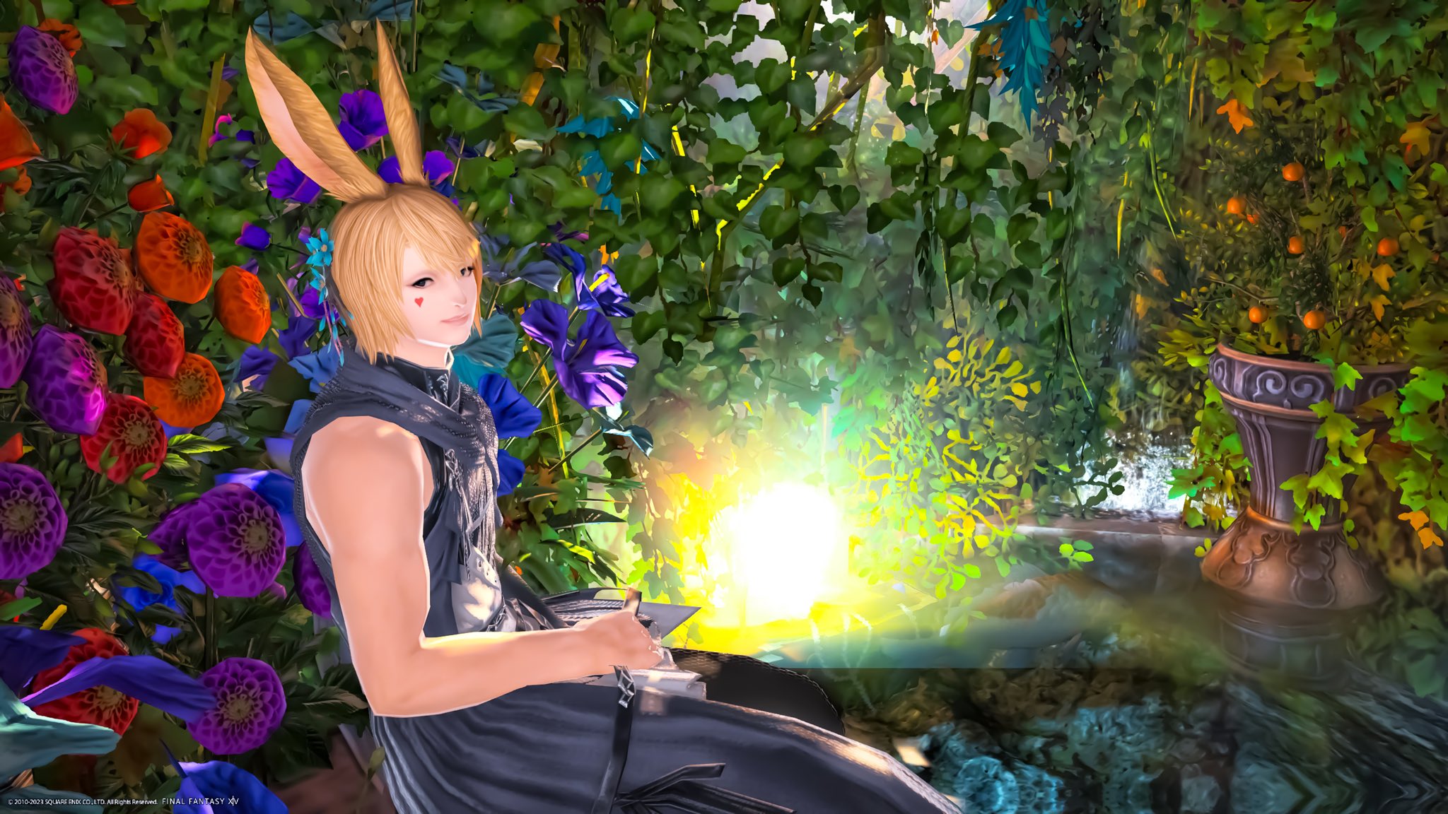 オルフェウス☆彡@FF14 on Twitter: "お邪魔しました、花、水、光のハーモニーが美しかったです☆彡 #Studio_lib #XIV_PICTCLIP https://t.co ...