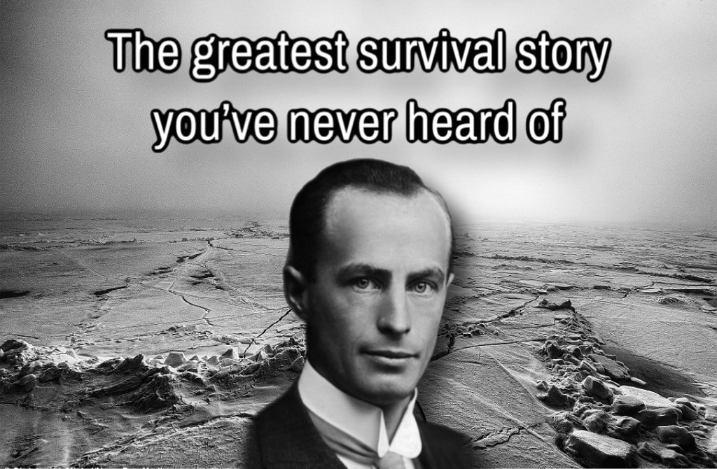 Thread by @Foz89107323 on Thread Reader App – Thread Reader App