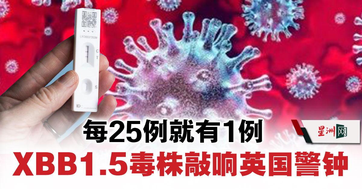 Sin Chew Daily 星洲日報 on Twitter: "XBB1.5号称是免疫力脱逃能力最强的病毒株。 #sinchew #星洲日报 https://sinchew.com.my ...