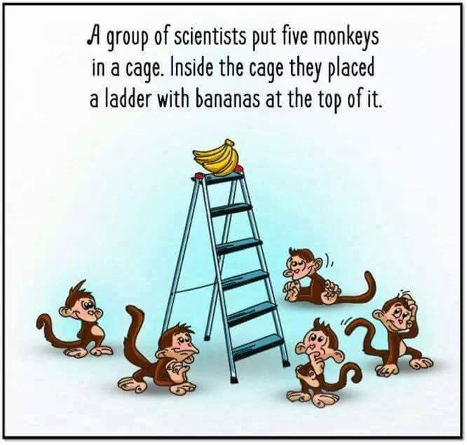 The Monkey Experiment People have a tendency to copy each other ...