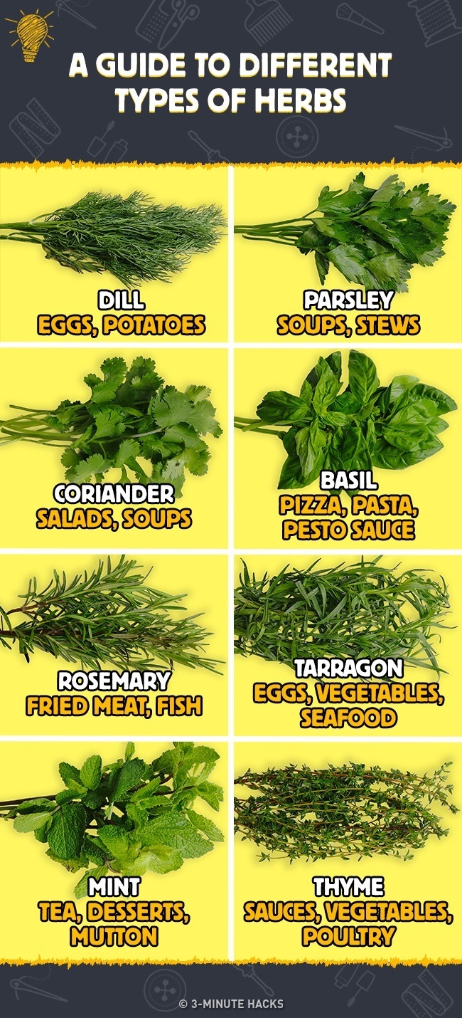 Herbs Pictures And Names Chart