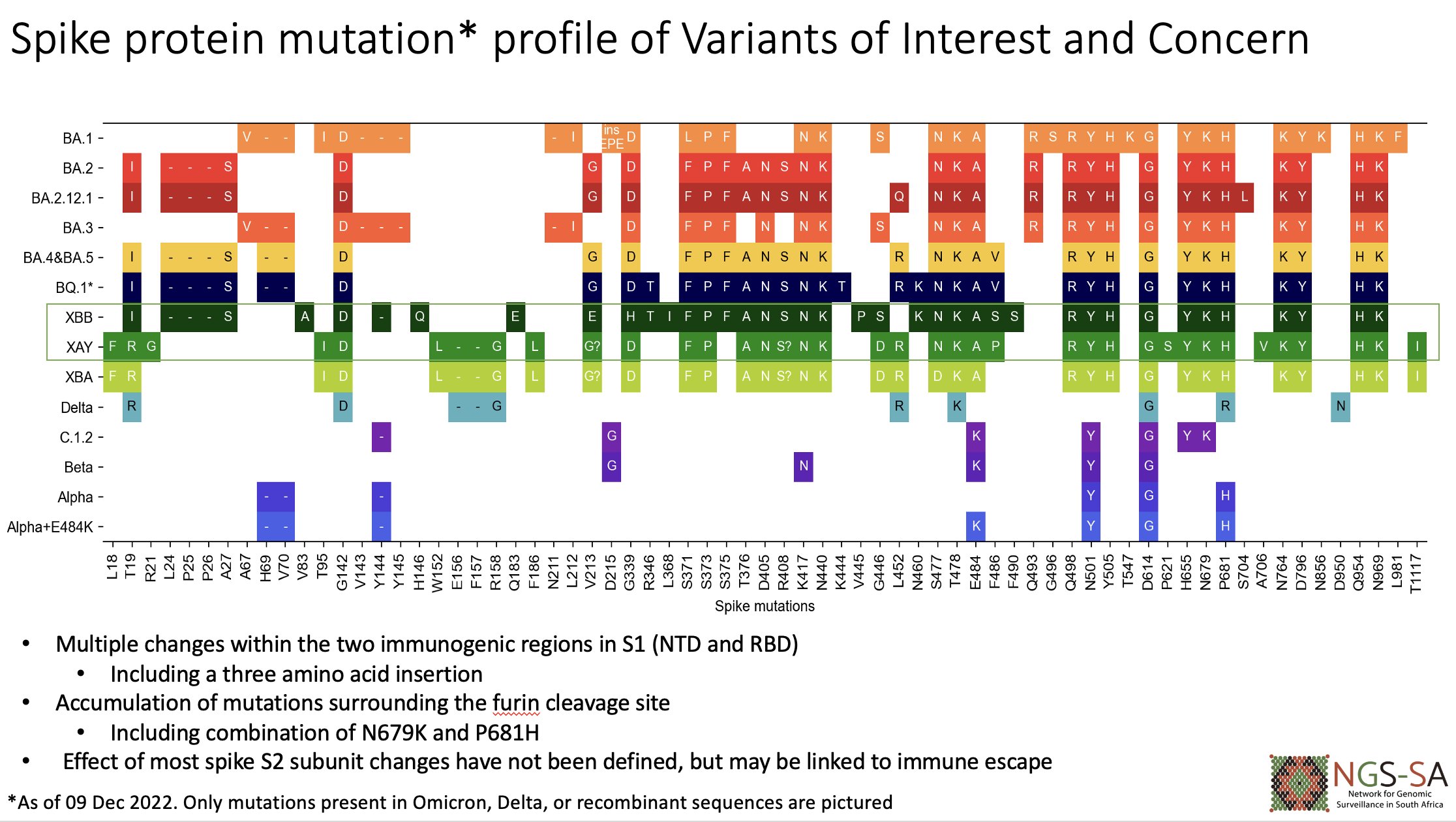 Bloom Lab on Twitter: "It really appears that the F486P affinity-enhancing mutation is ...