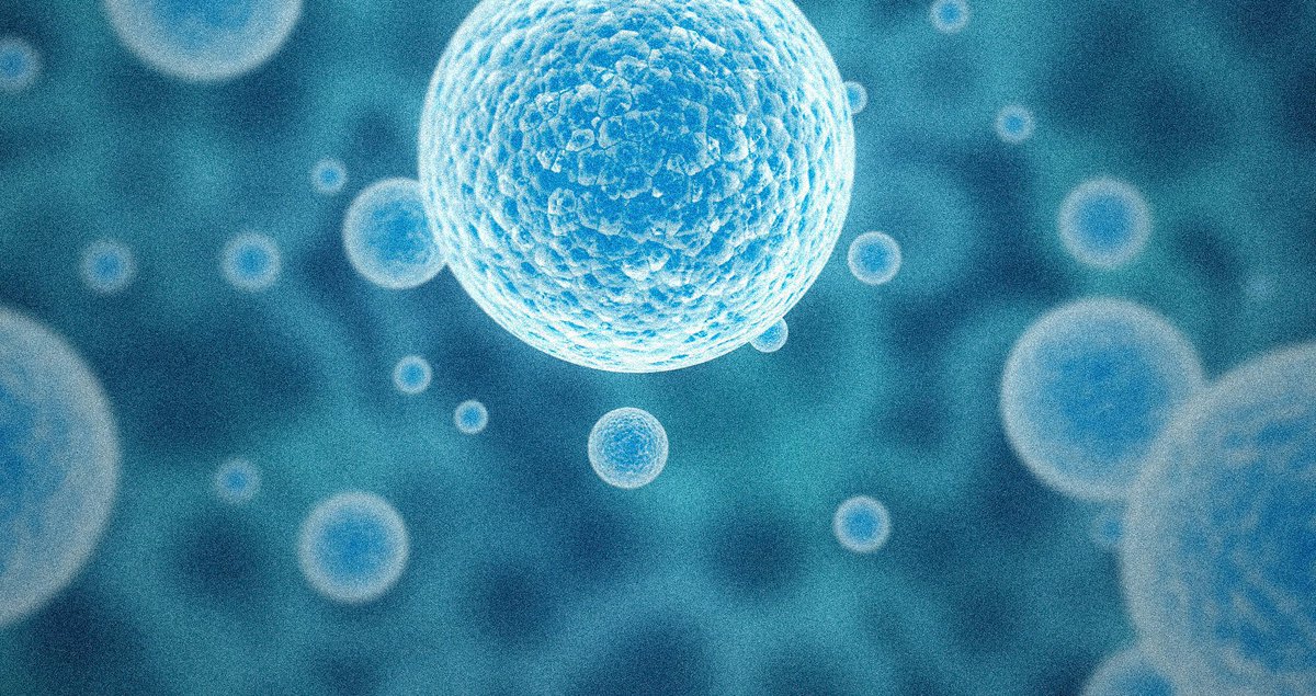 Stem Cell Therapy: A miracle cure or just another wack job theory? 4 ...