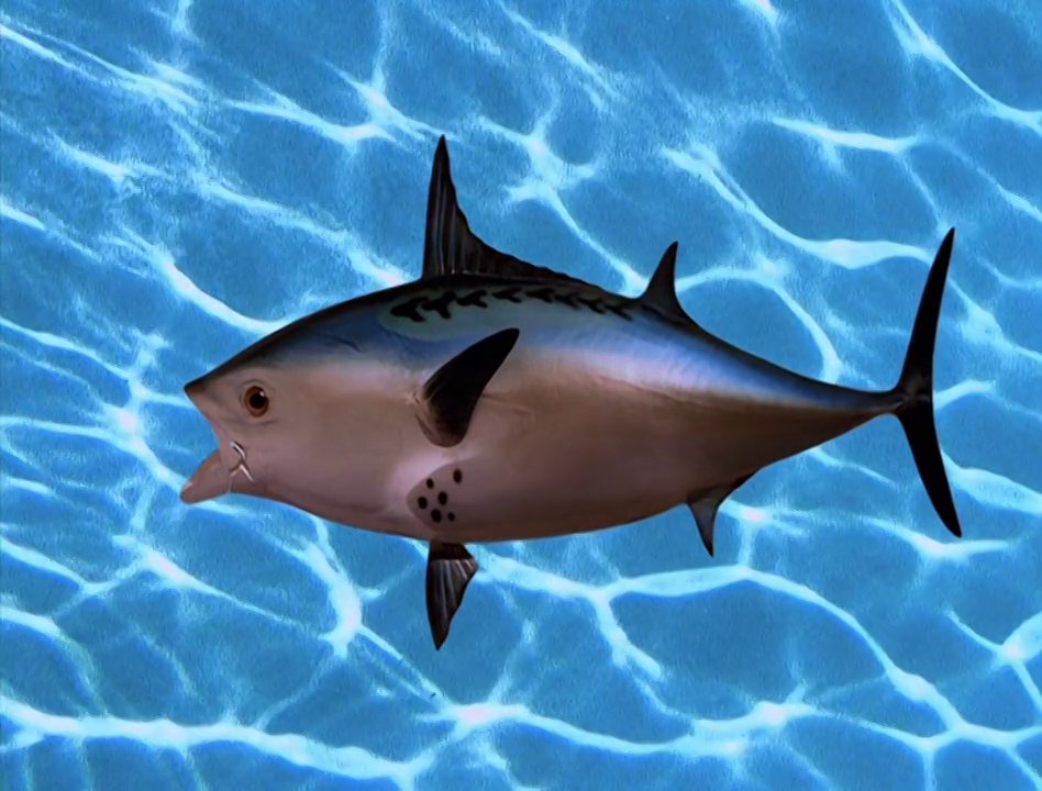 Spongebob Fish Intro