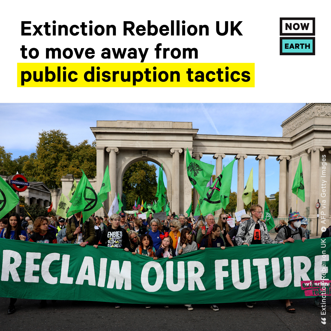 Thread by @nowthisnews on Thread Reader App – Thread Reader App