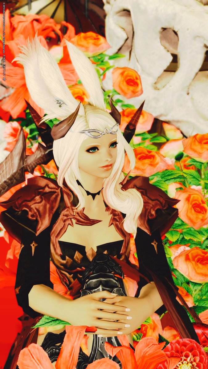 studio_OT | StudioXIV