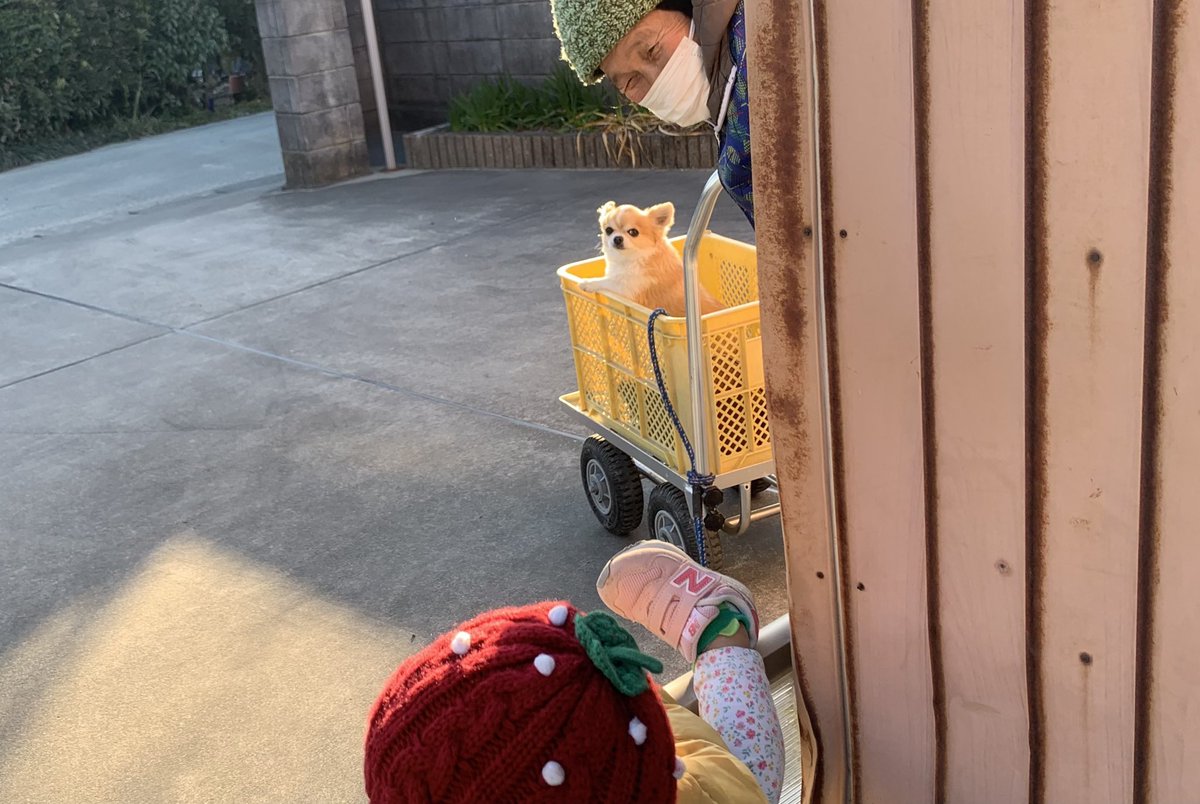 めそ on Twitter: "RT @chiwarwar: