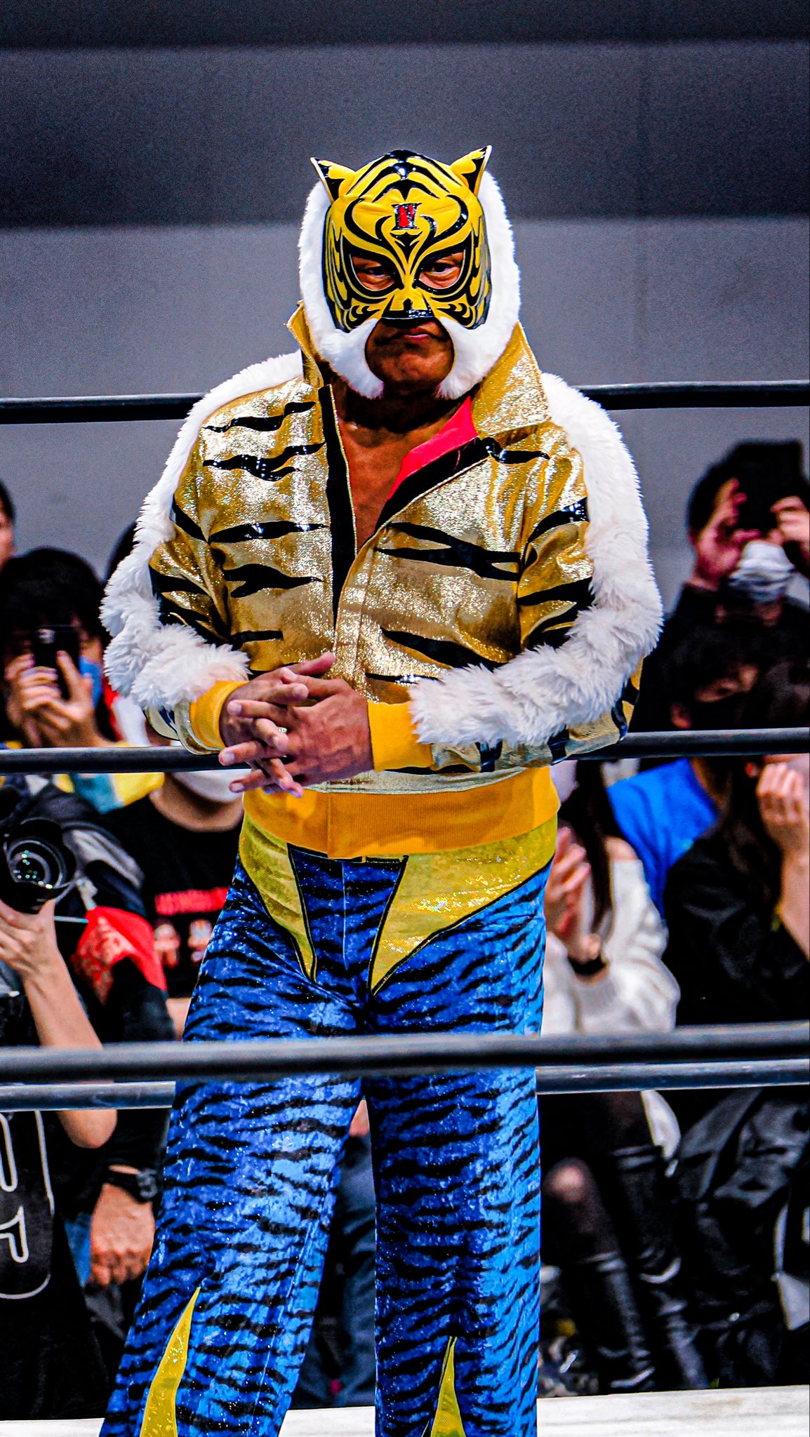 Tiger Mask Wrestler Iv Tiger Mask Wrestler Iv