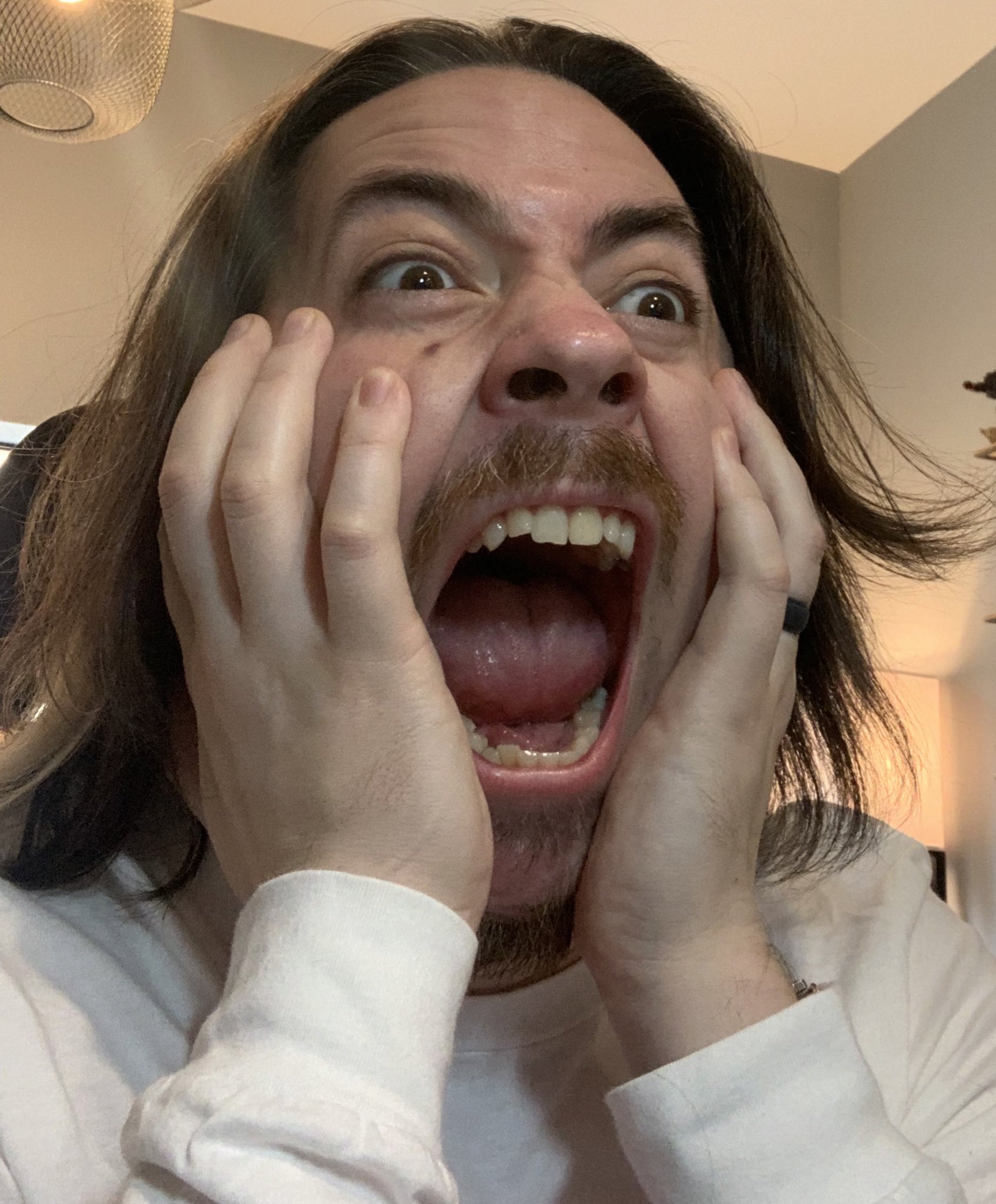 Egoraptor Scream