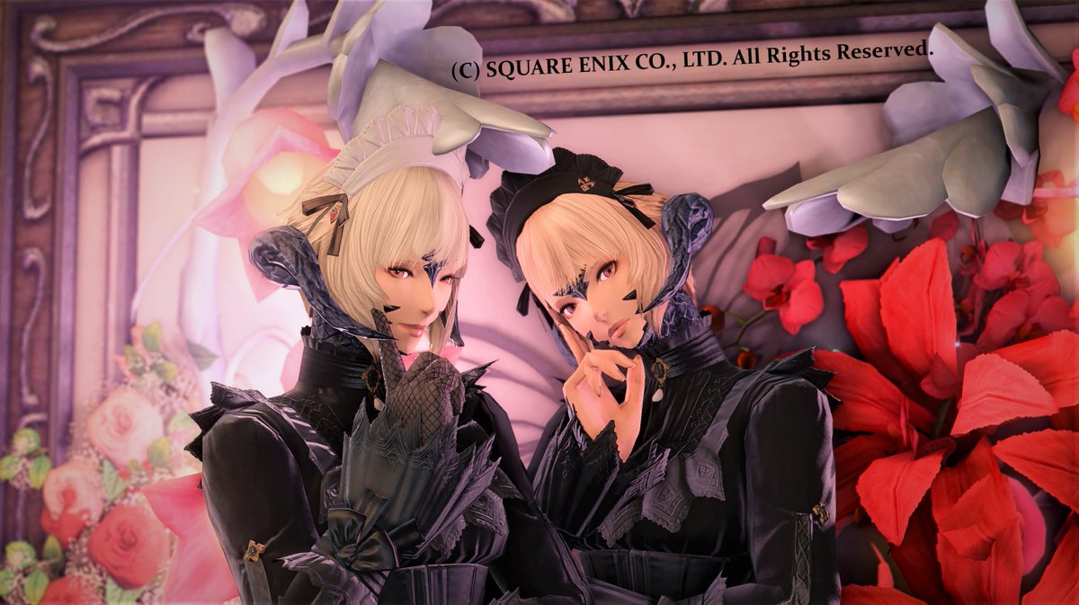 Lapi_studio | StudioXIV