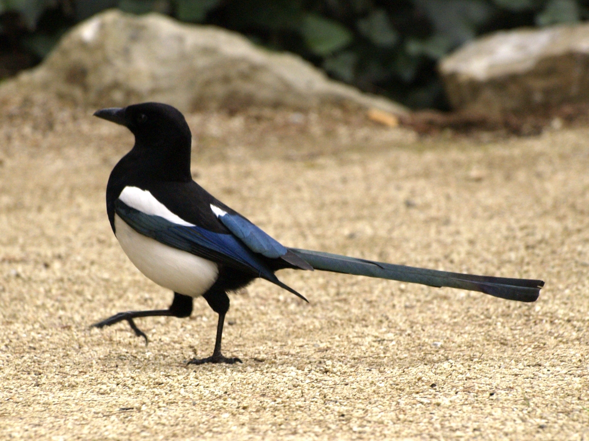 Thread by @drudibuixa on Thread Reader App – Thread Reader App