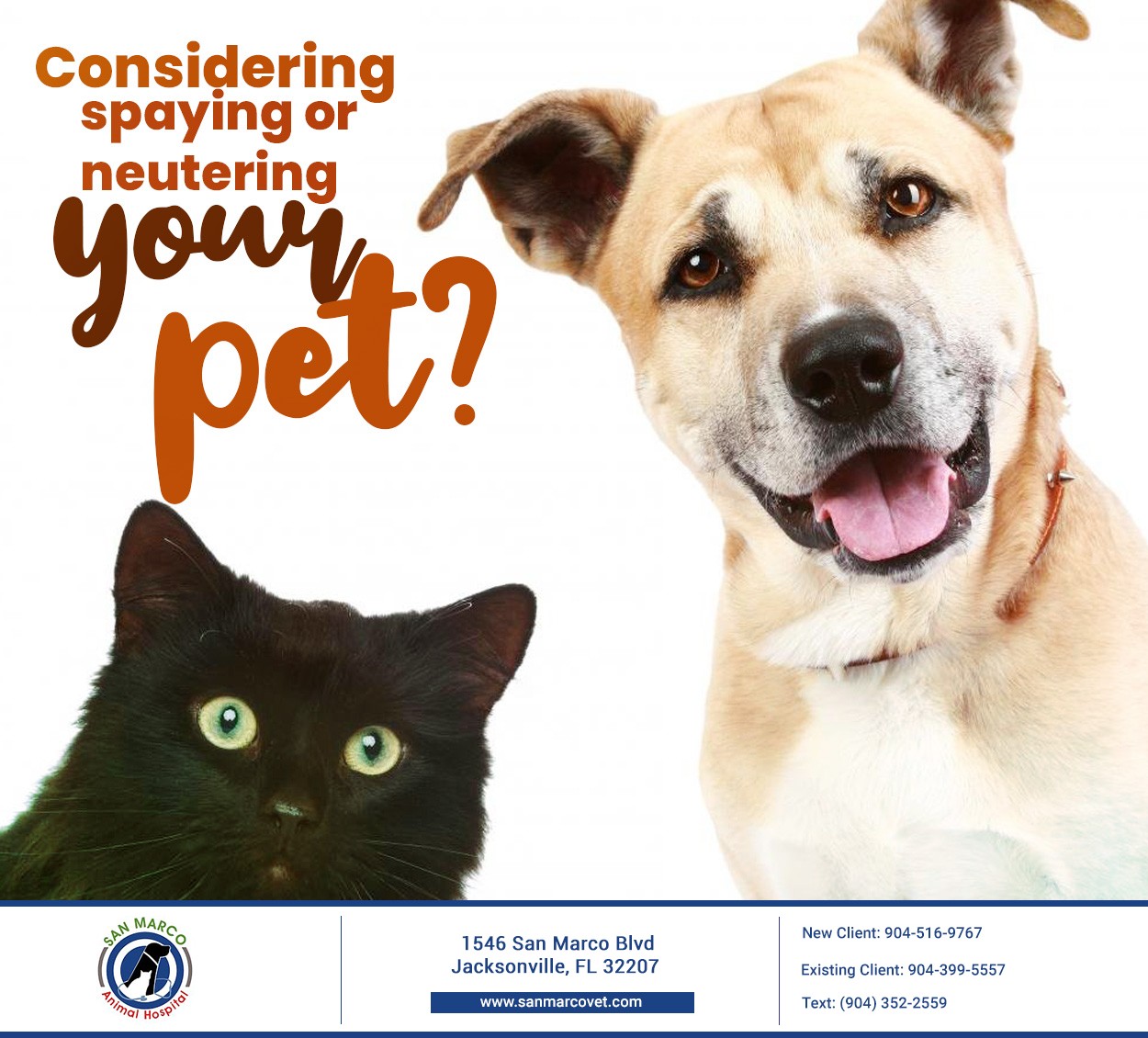 Are Female Or Male Dogs Better With Cats