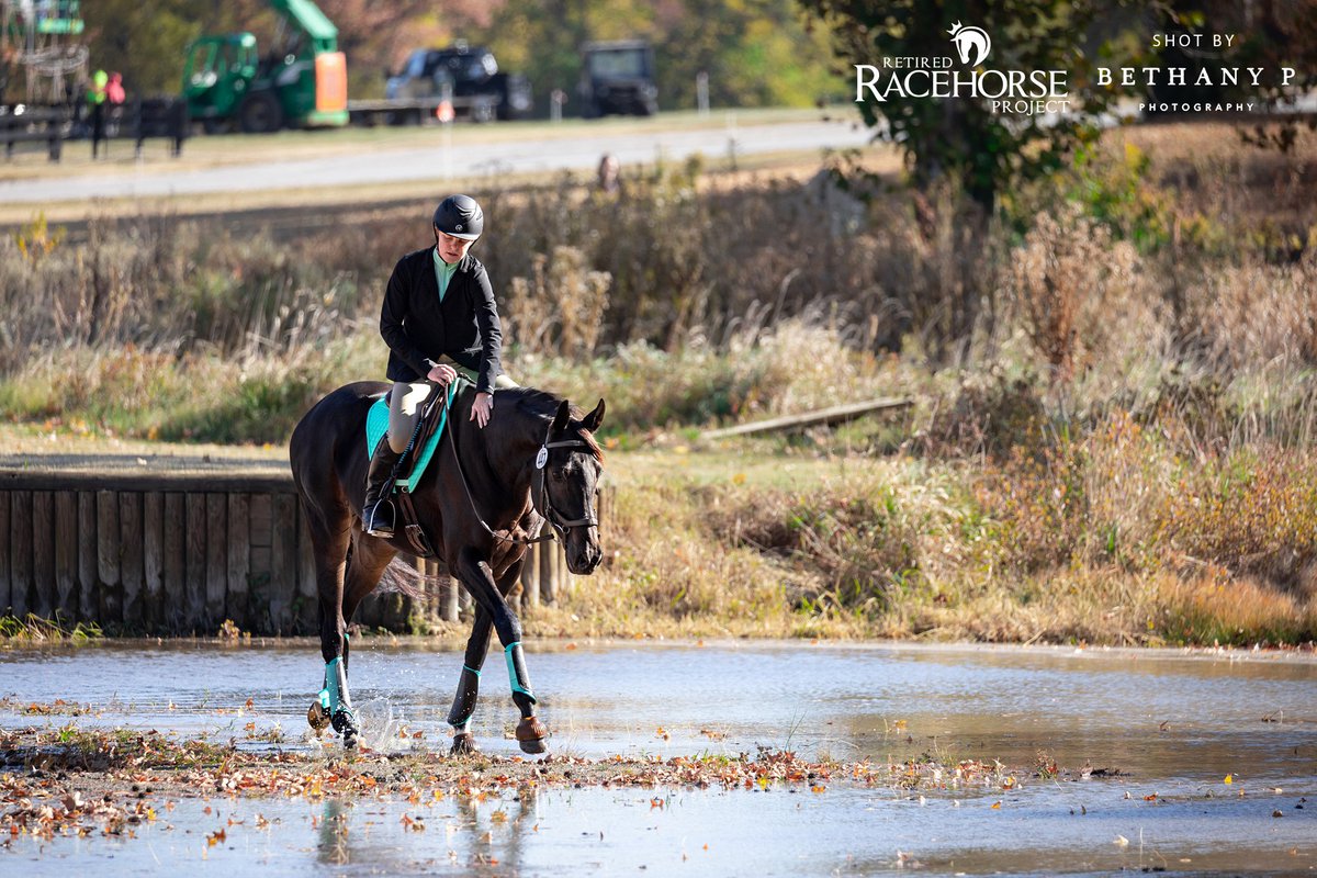 Retired Racehorse Project On Twitter Let s Talk What Does The Phrase retired-racehorse-project-on-twitter-let-s-talk-what-does-the-phrase