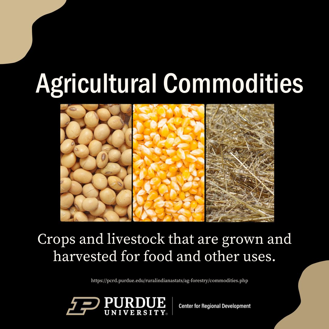 Purdue Center for Regional Development on Twitter: "Our first #WednesdayWisdom of 2023 is on ...