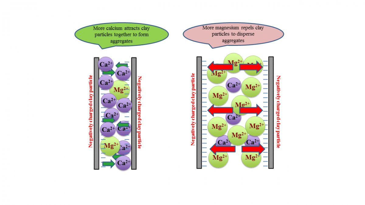 Thread by @samdknowlton on Thread Reader App – Thread Reader App