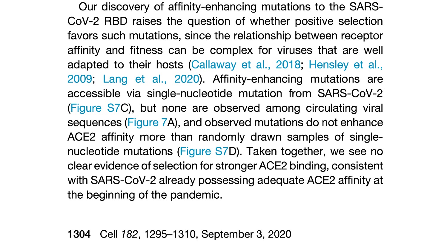 Bloom Lab on Twitter: "I want to discuss relationship between ACE2 affinity and fitness ...
