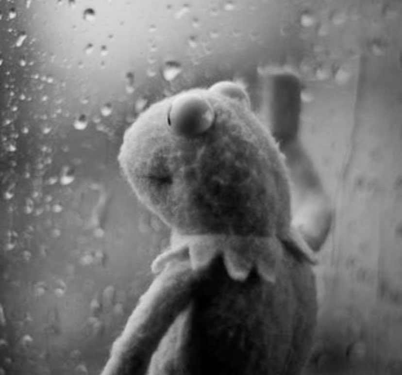 Sad Kermit Window