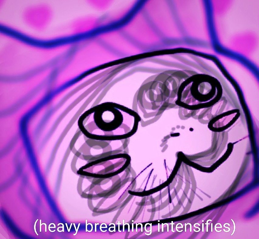 Breathing Intensifies Cat Meme