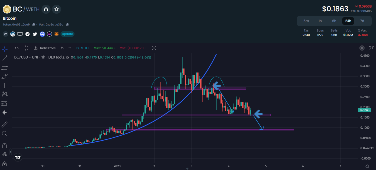 IncomeSharks on Twitter: "@EricCryptoman $BC - Support about to break, down it goes. People on ...