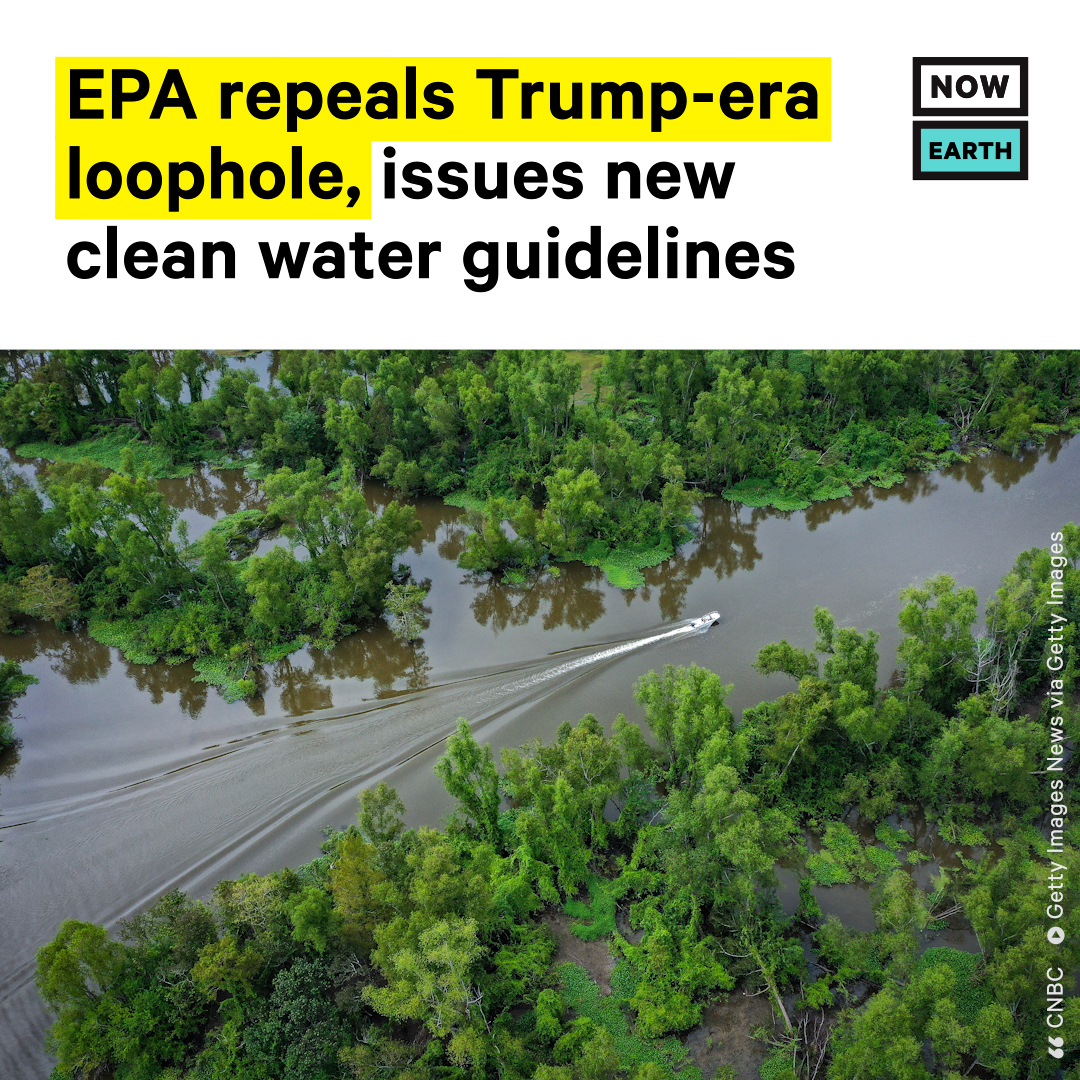 Thread by @nowthisnews on Thread Reader App – Thread Reader App