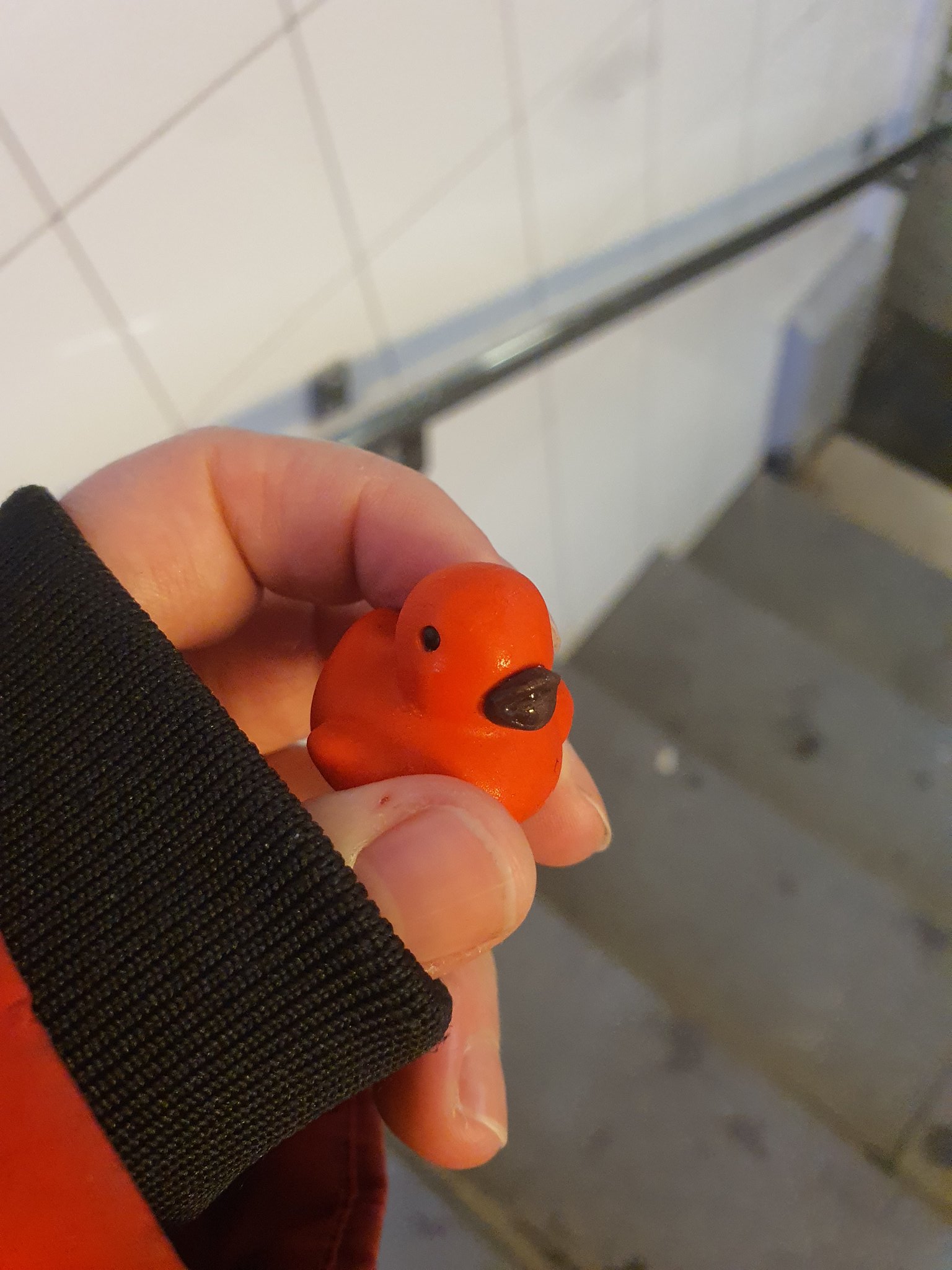corpsey 💚 on Twitter: "found a tiny red duck omw to work today- taking this as my sign to write ...