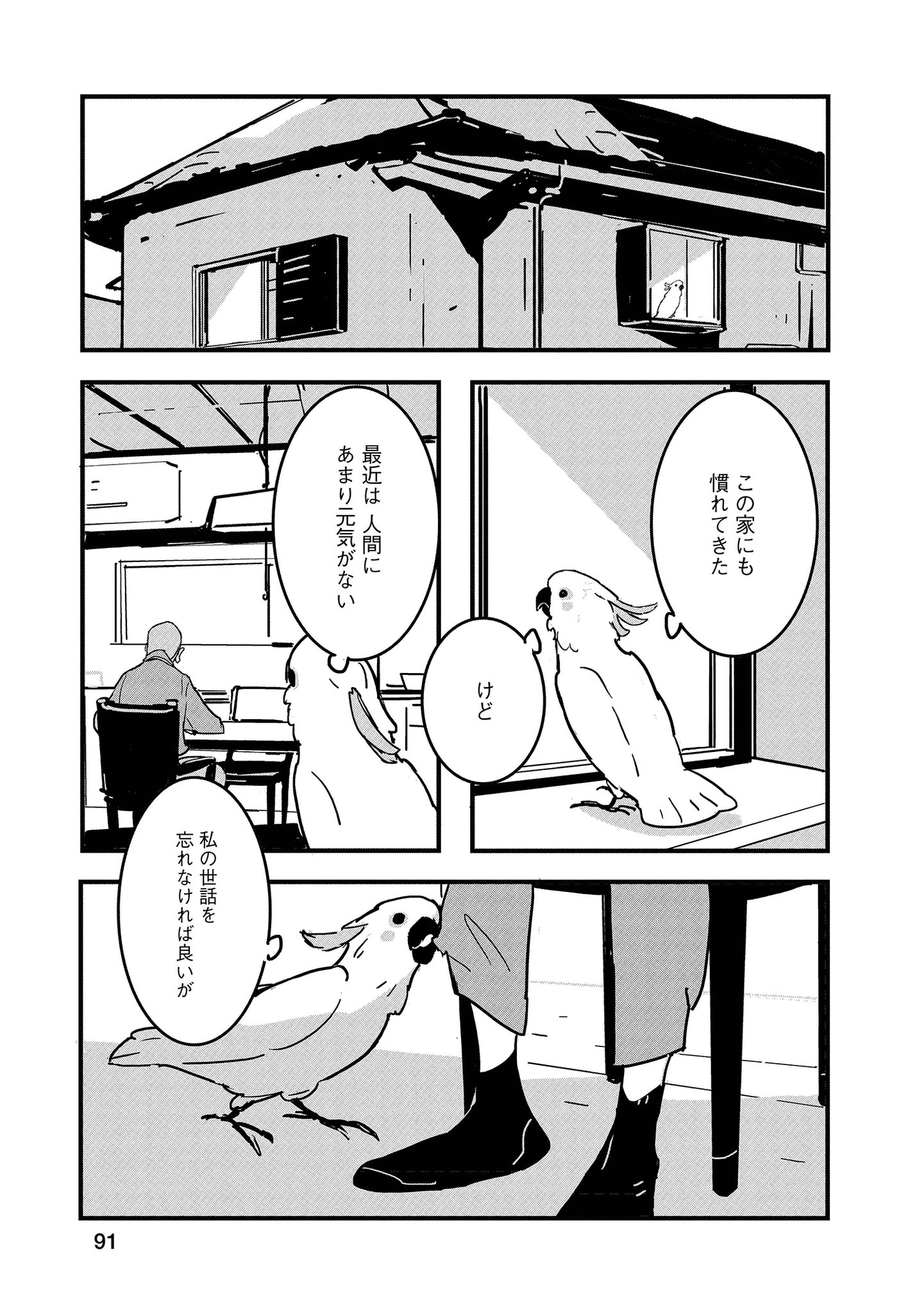 Shima Shinya on Twitter: "3/8 https://t.co/SxbPgVbXrf" / Twitter